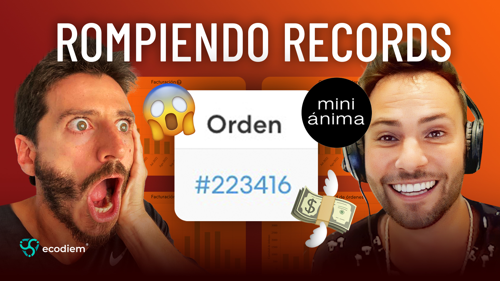 Mini Ánima: De 0 a 5.000 pedidos mensuales en su Tienda Online ...
